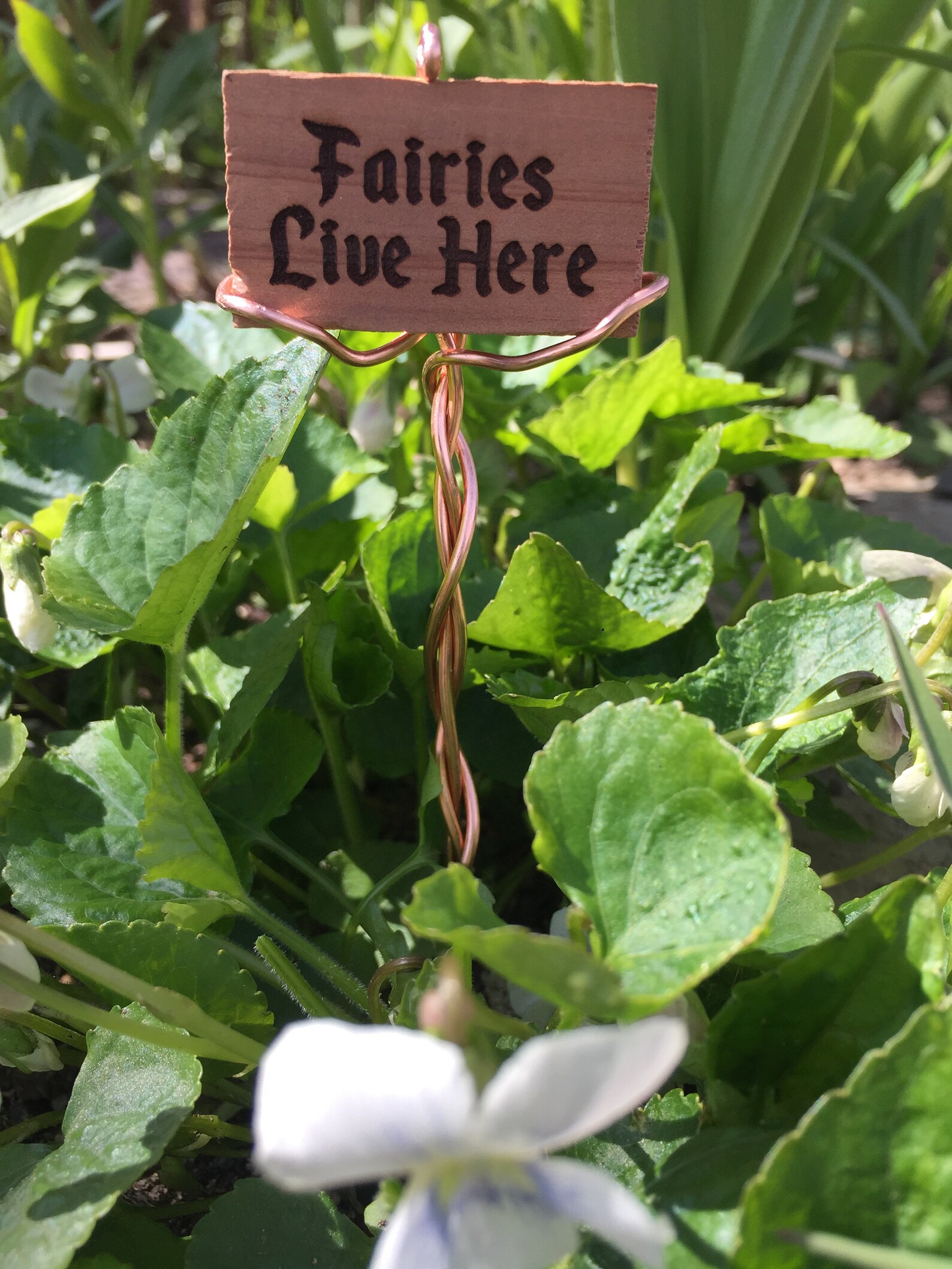 Fairy Garden Sign/fairies Welcome/fairies Live Here | Etsy