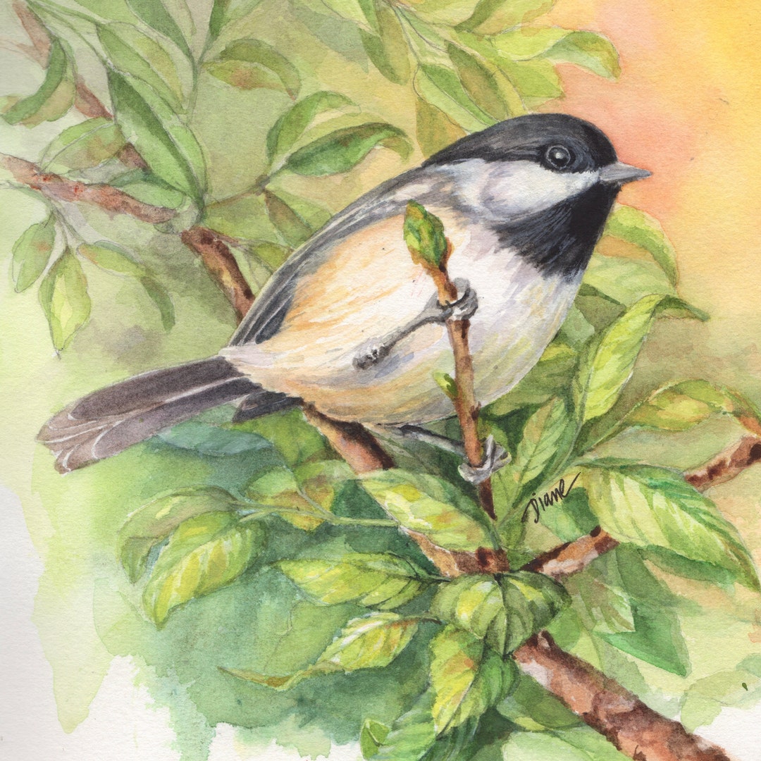 Bird Art Card/ Black Cap Chickadee / Nature Series Watercolor Prints ...