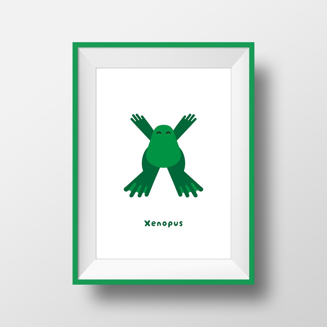 Letter X Animal Alphabet PRINT - Etsy