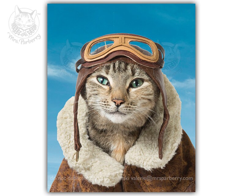 Cat Pilot Print Pilot Print WWII Art Cat Art Crazy Cat - Etsy Denmark