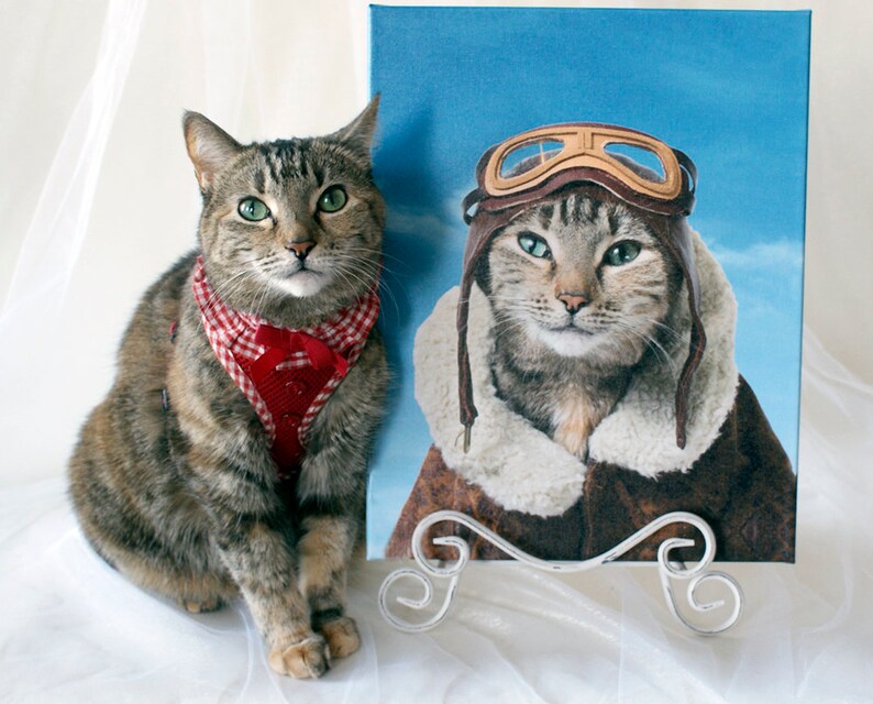 Cat Pilot Print Pilot Print WWII Art Cat Art Crazy Cat - Etsy Denmark