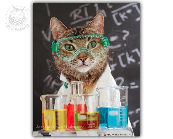 Chemistry Cat Blank