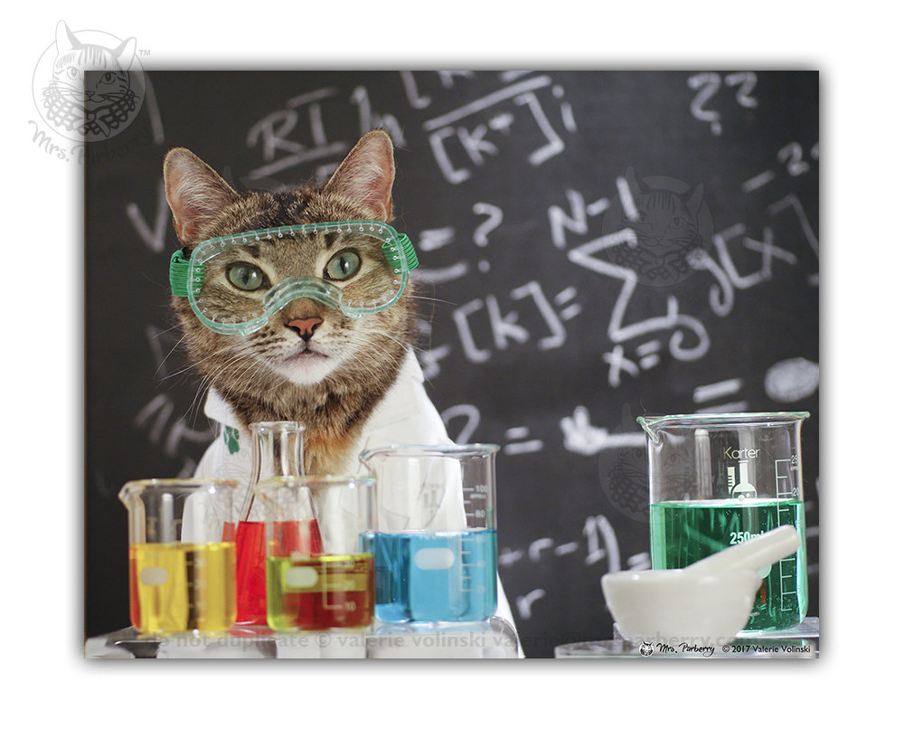 Chemistry Cat Blank