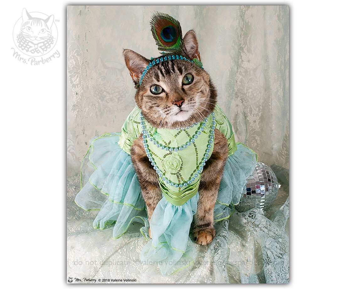 Cat Vintage Print Flapper Cat Art Gift for Cat Lover Cat - Etsy