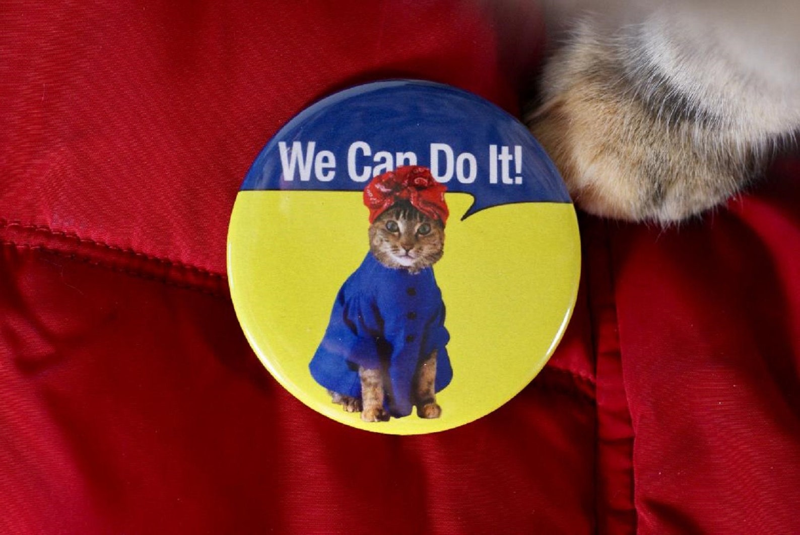 Cat Button Womens March Button Rosie the Riveter Campaign - Etsy