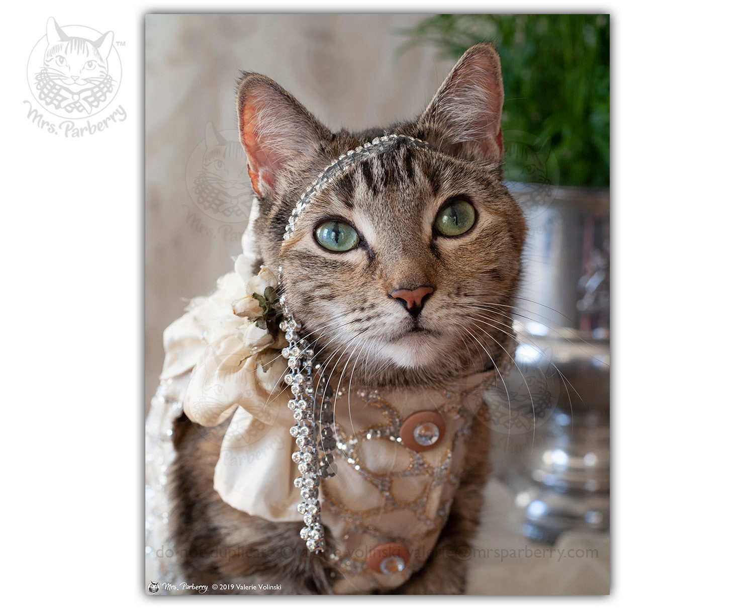 Cat Vintage Print Flapper Cat Art Gift For Cat Lover Cat | Etsy