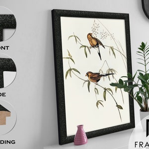 A1/A2/A3/A4/A5/A6 Size Photo Frames / Home Decor Picture Frame ...