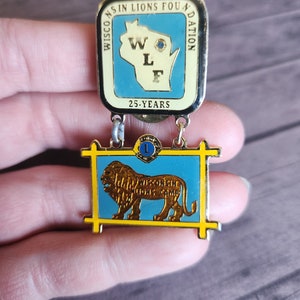 Vintage Wisconsin Lions Foundation Brooch Pin Suit Accessory Resale - Etsy