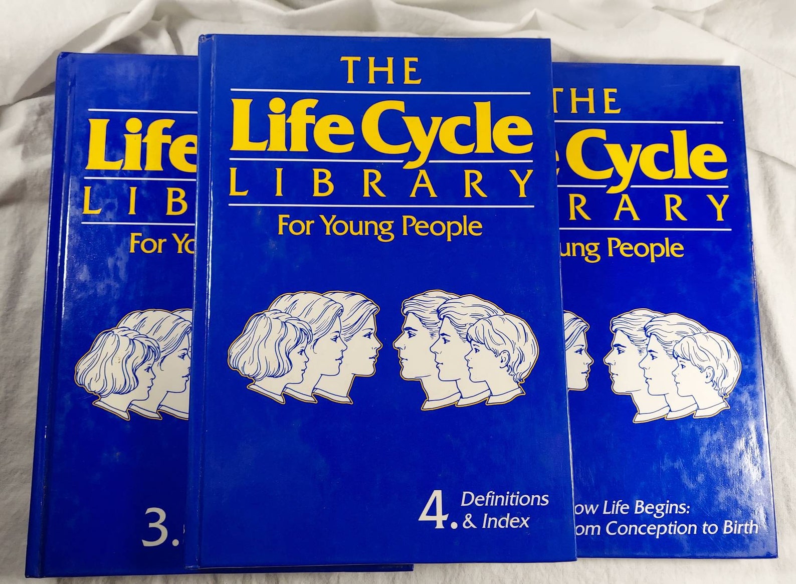 The Life Cycle Library for Young People 1987 Hardcover Set - Etsy
