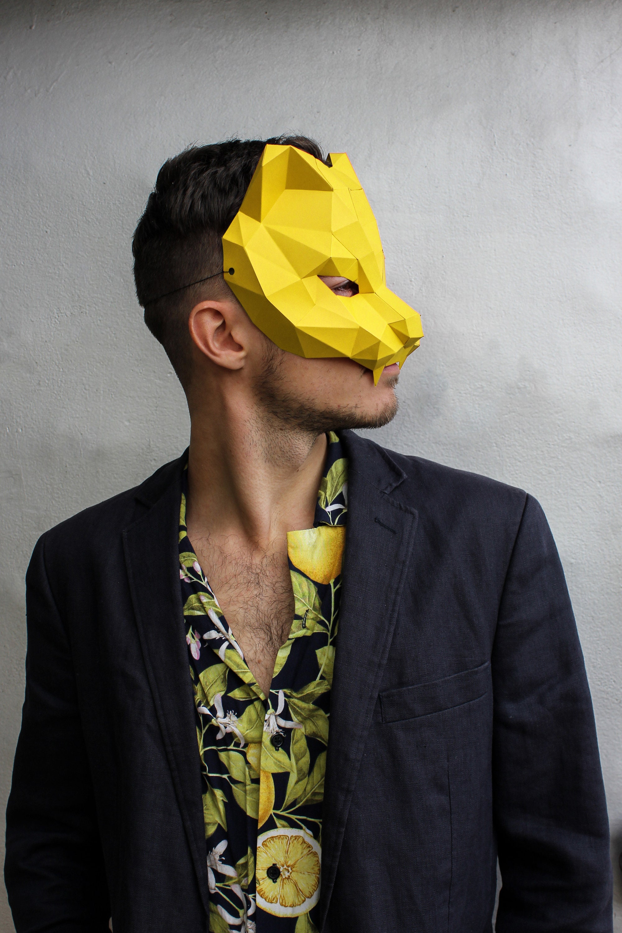 Tiger VIP MASK Papercraft Printable DIY Half Face Mask for - Etsy