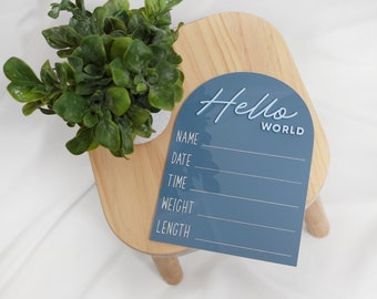 Hello World Baby Stat Sign Acrylic Baby Birth Announcement Daisy Hello ...