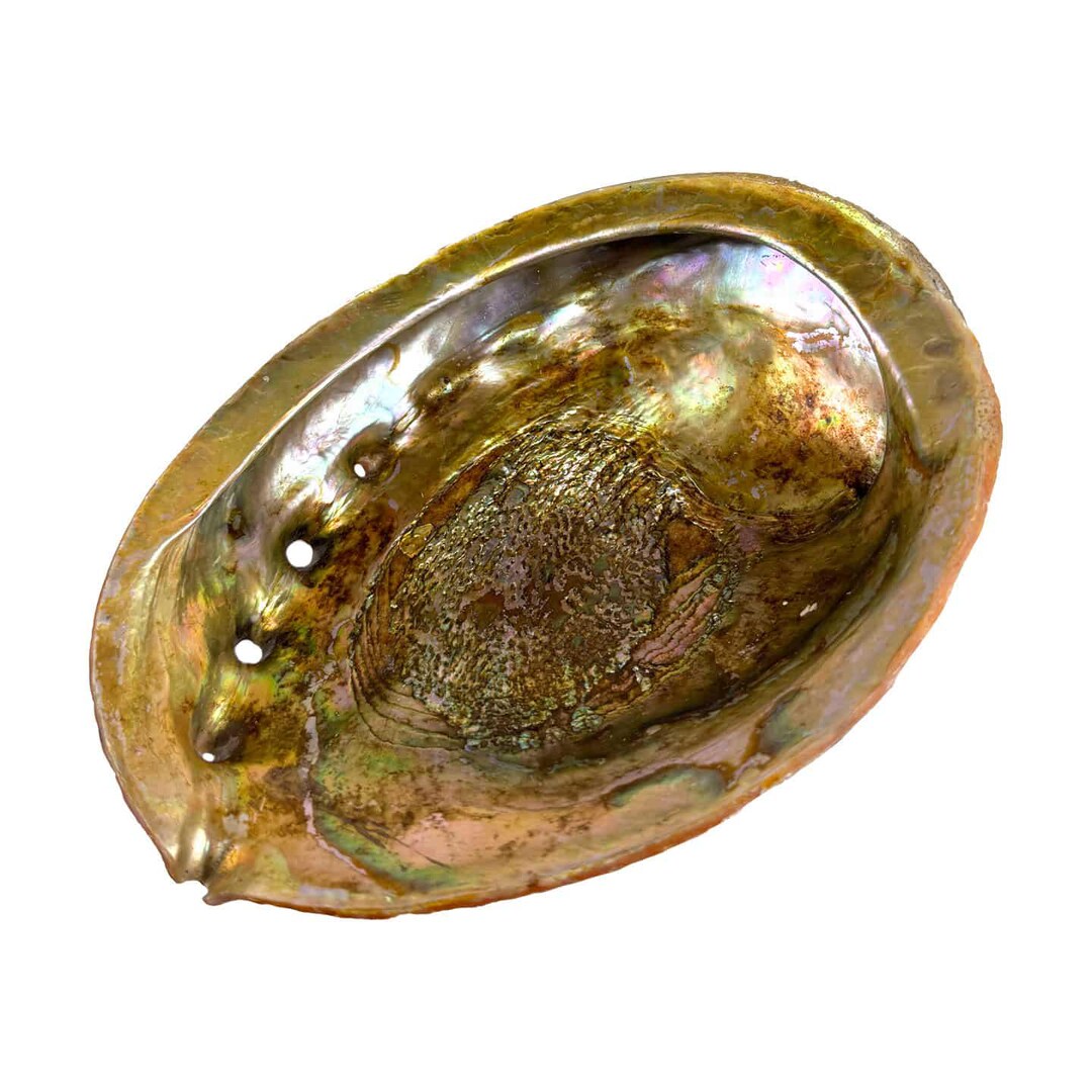 Vintage Hollywood Regency Coastal Abalone Pearl Shell Cigar Ashtray - Etsy