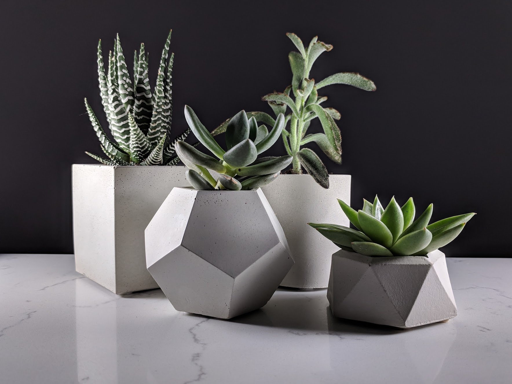 Geometric Plant Pots