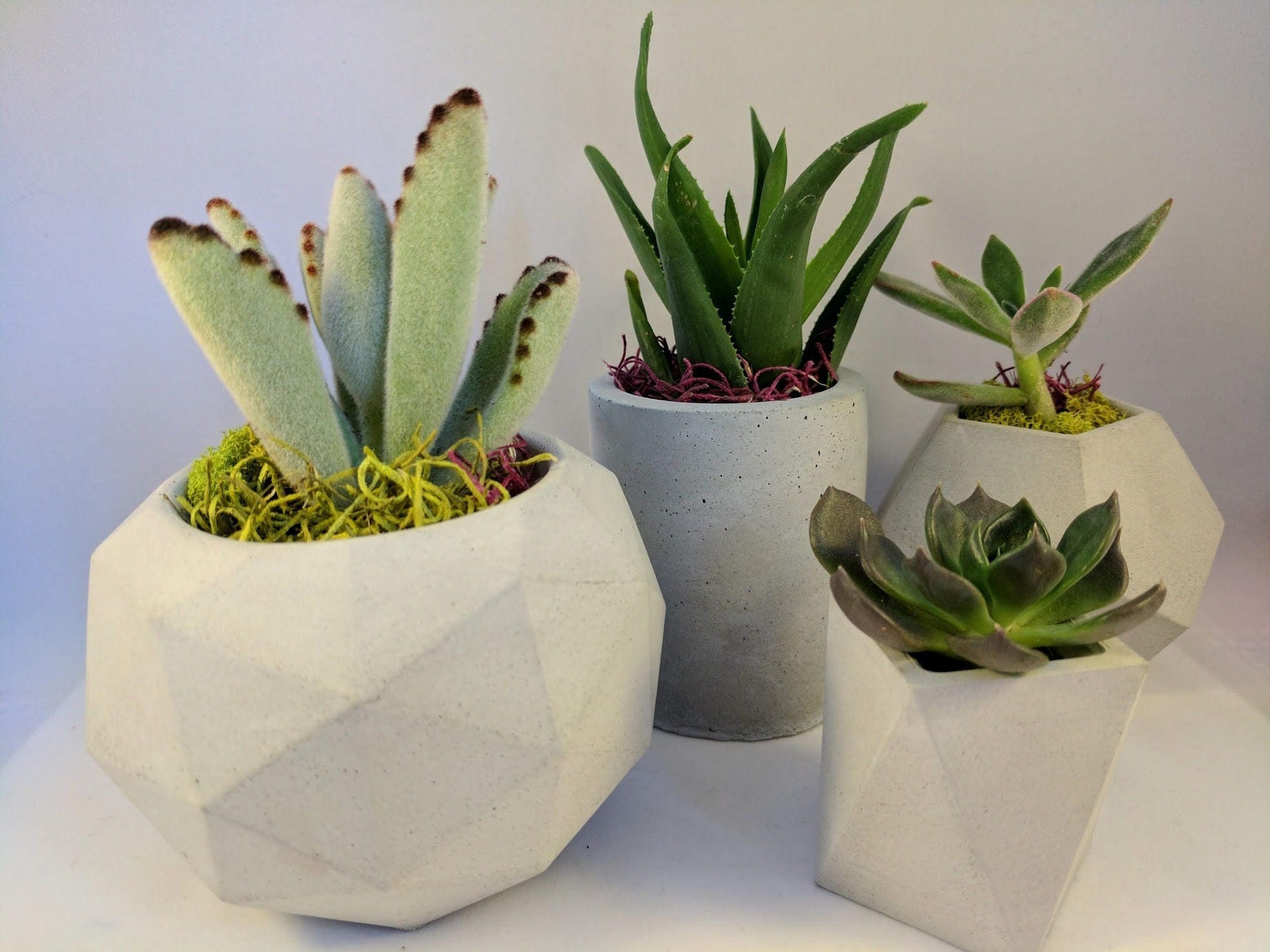 Planters & Pots Square Cement Planter and Saucer Concrete Indoor Flower ...