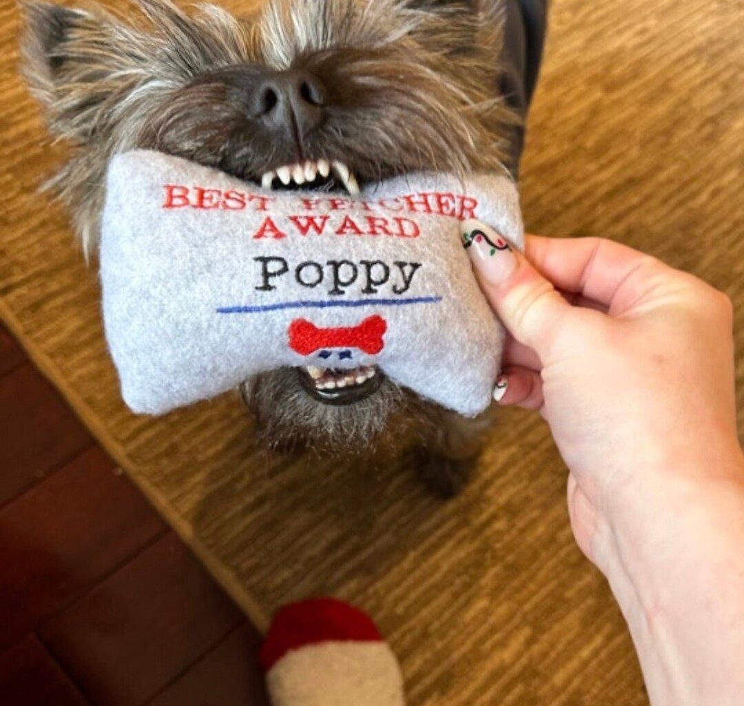 Award Custom DOG Toy, Personalized Squeaky Toy Funny Gift for Dog Lover ...