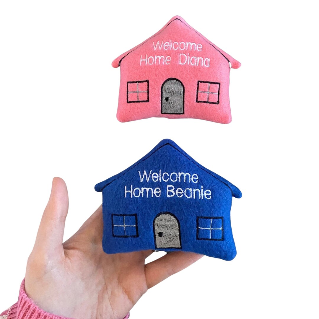 Welcome Home Custom CAT Toy, Personalized House Catnip Toy Gotcha Day ...