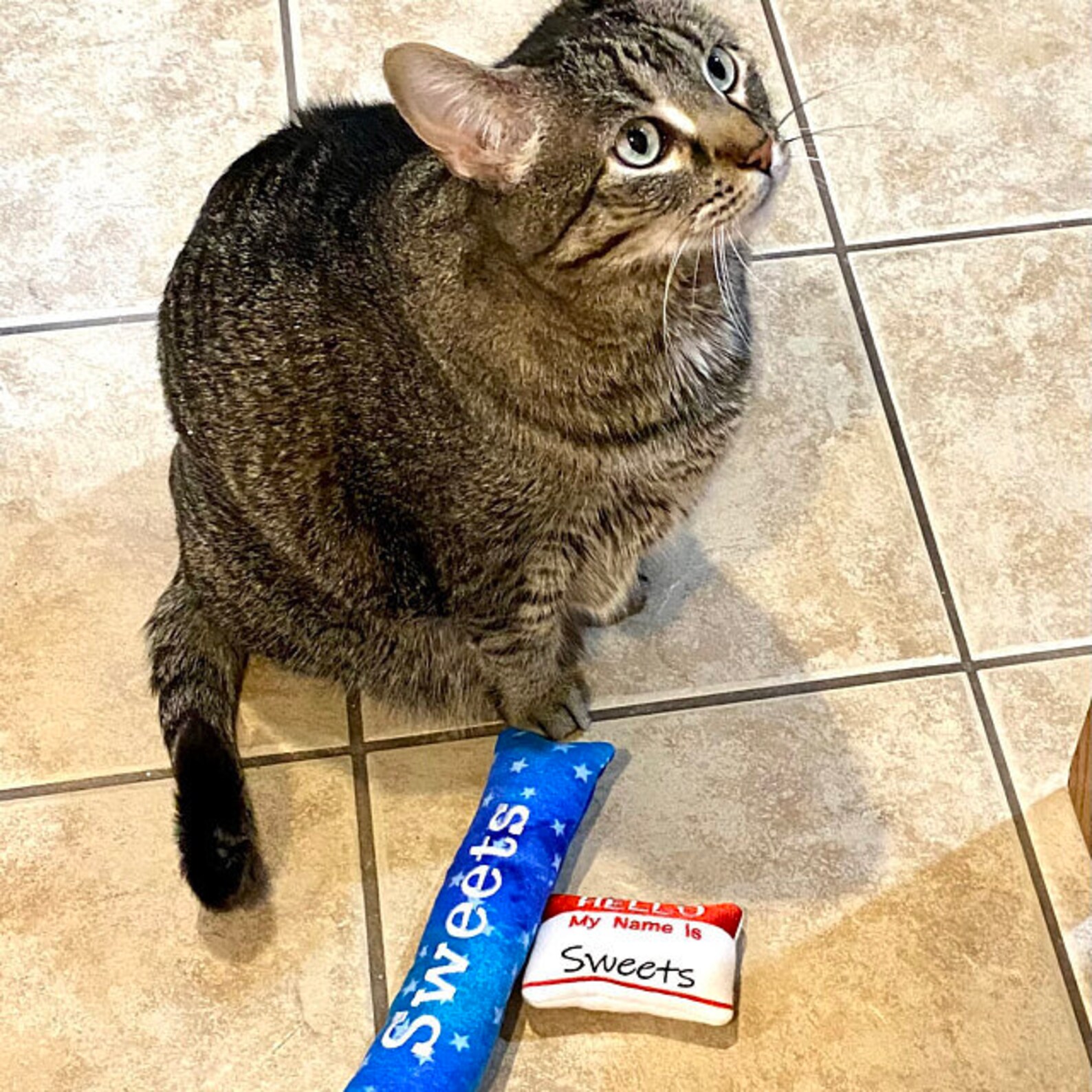 Name Tag Cat Toy Custom Cat Toy Catnip Toy Personalized Cat | Etsy