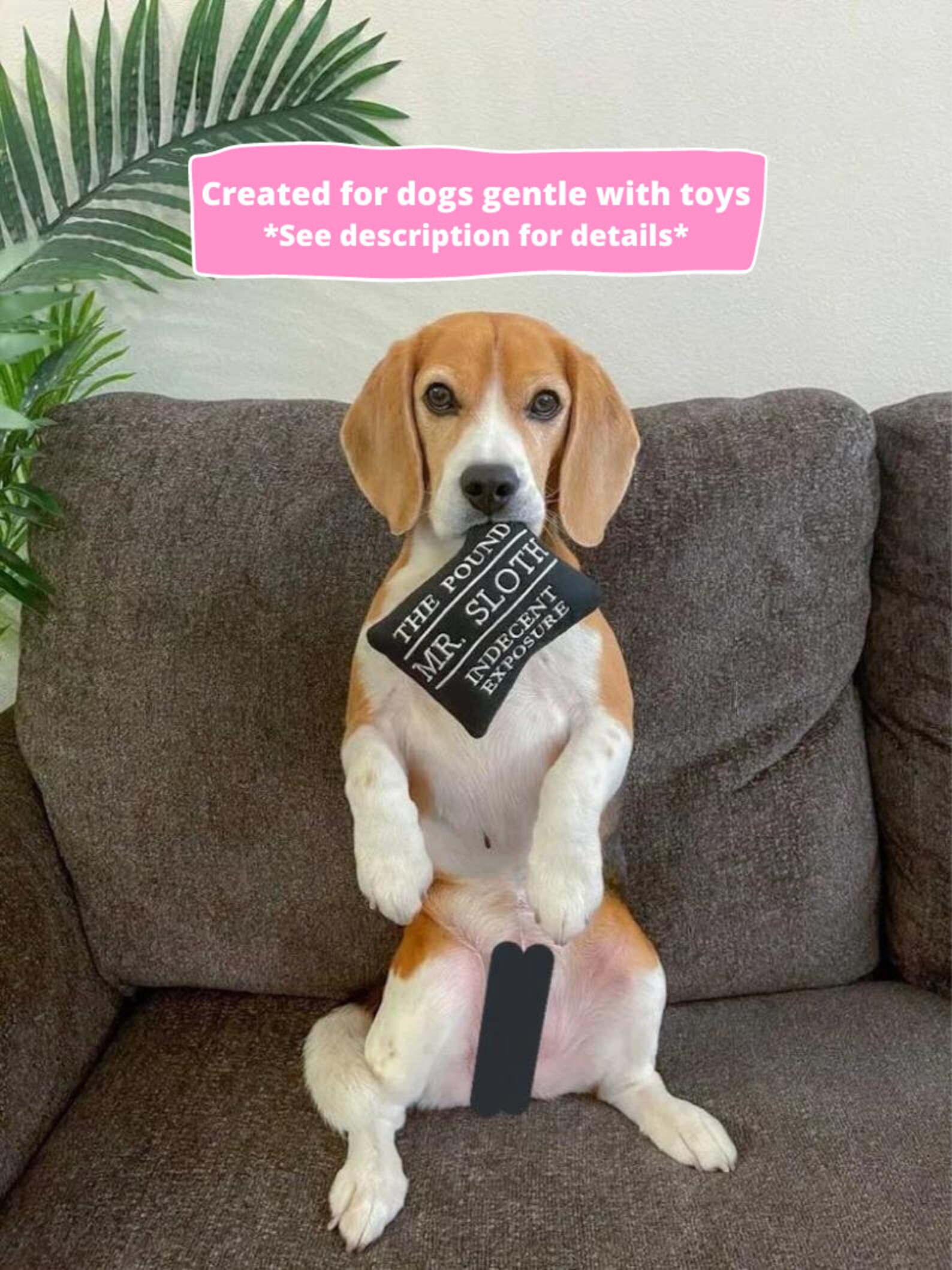 Prison Name Board Dog Toy Custom Dog Toy Squeaker Dog Toy Jail | Etsy