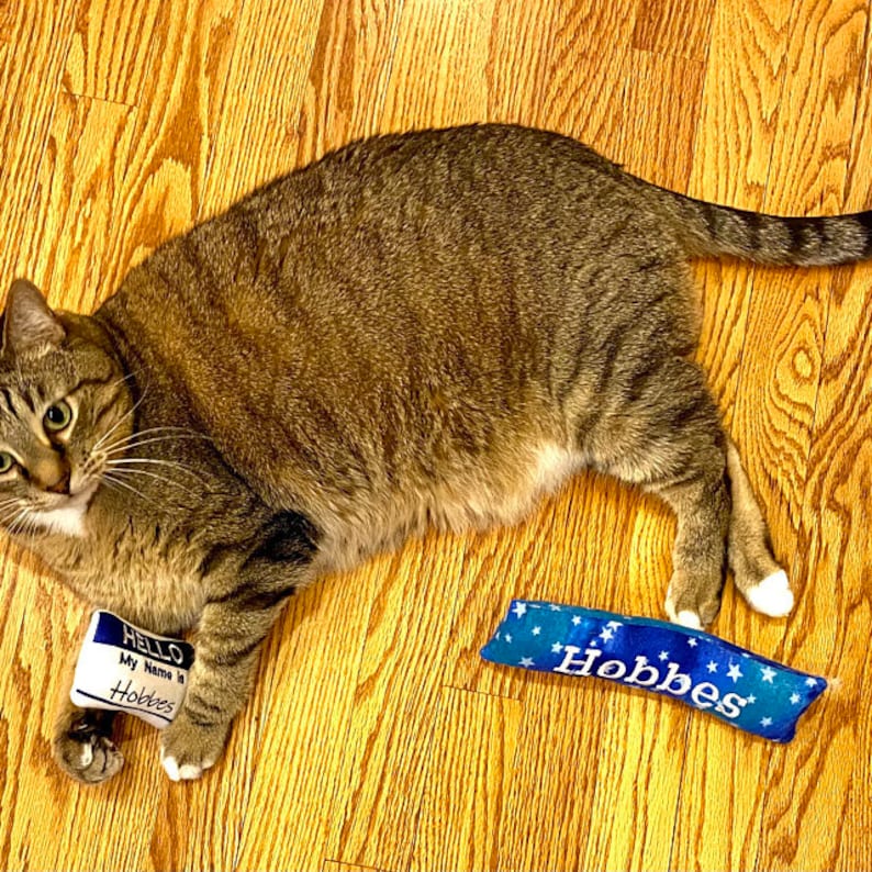 Name Tag Cat Toy Custom Cat Toy Catnip Toy Personalized Cat | Etsy