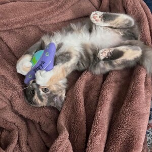 UFO Custom CAT Toy, Personalized Alien Catnip Toy Funny Gift for Cat ...