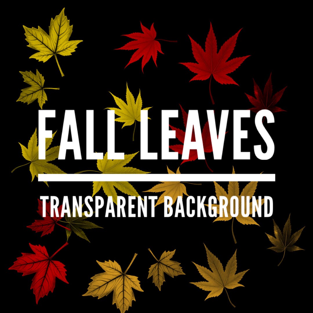 Autumn Leaf PNG Collection | Fall Foliage Digital Images | Transparent ...
