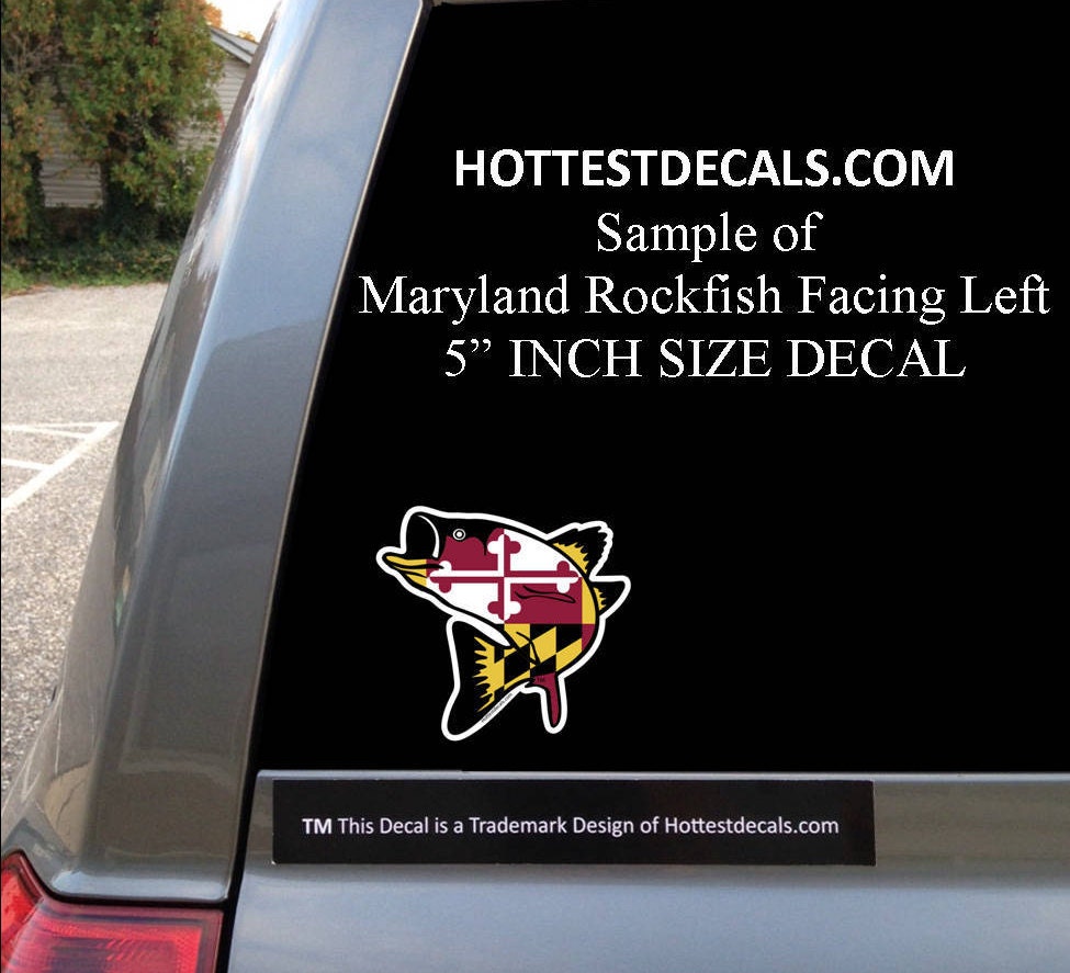 Maryland Flag Fish decal sticker ROCKFISH | Etsy