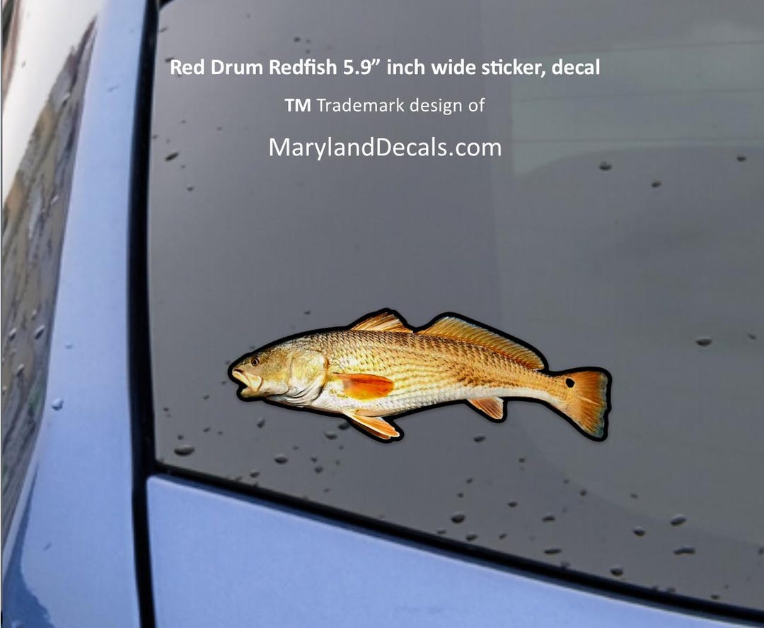 RED DRUM Fish Sticker REDFISH Car Decal Outdoor Use Waterproof Vinyl - Etsy