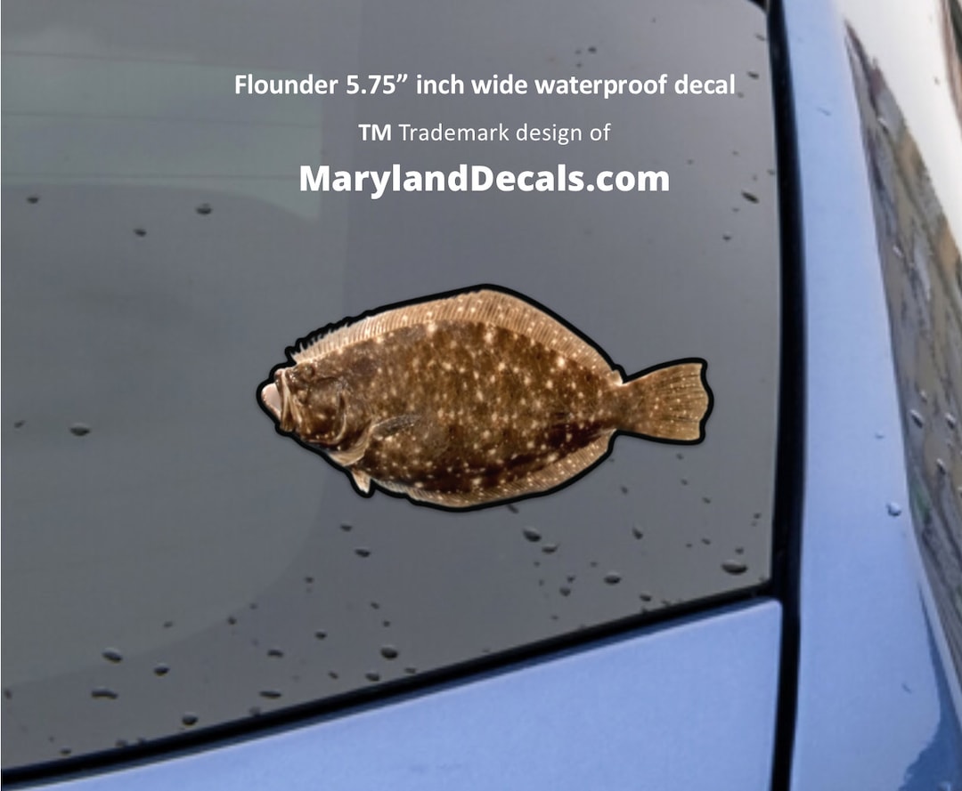 FLOUNDER Fluke FISH Decal Sticker Waterproof Vinyl for Cars Trucks ...