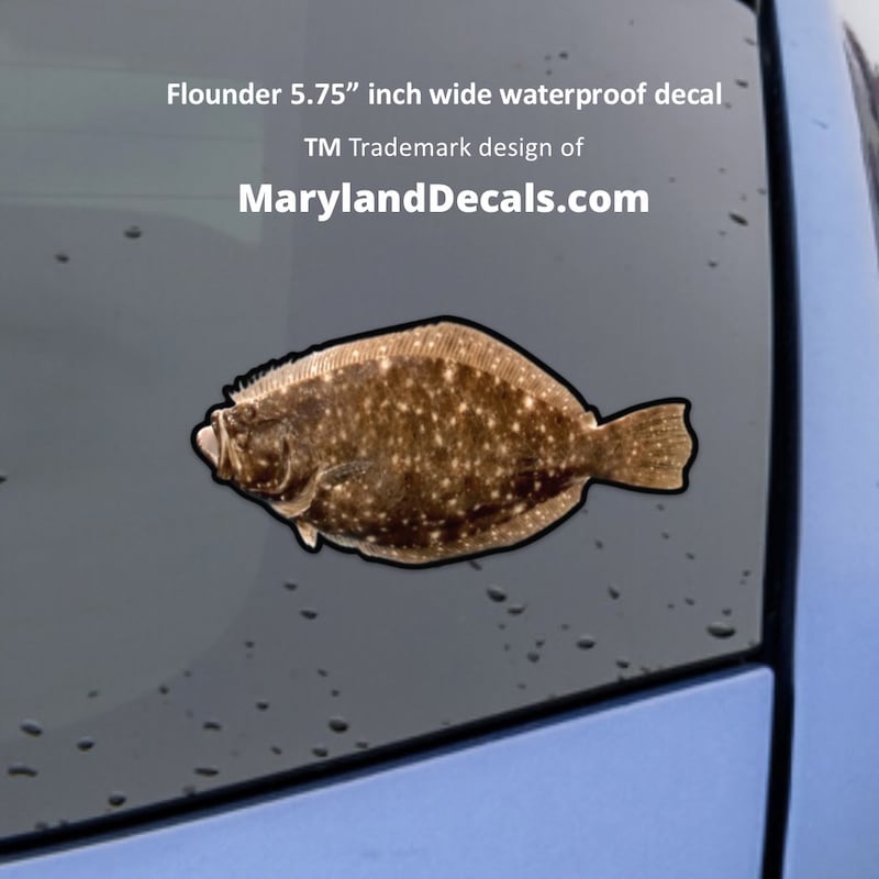Flounder - Etsy