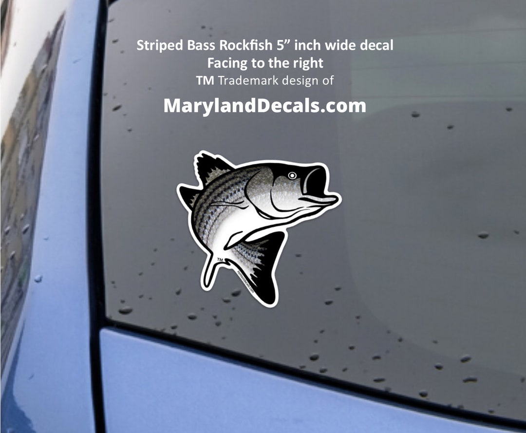 Striped Bass Fish Decal Sticker - Etsy
