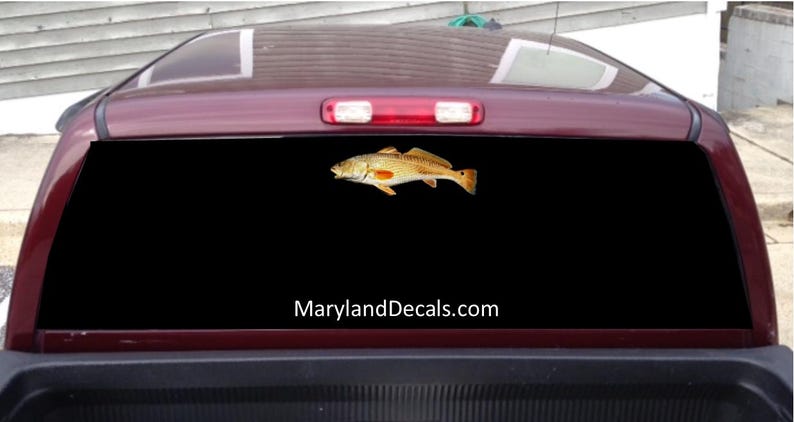 RED DRUM Fish Sticker REDFISH Car Decal Outdoor Use Waterproof Vinyl - Etsy
