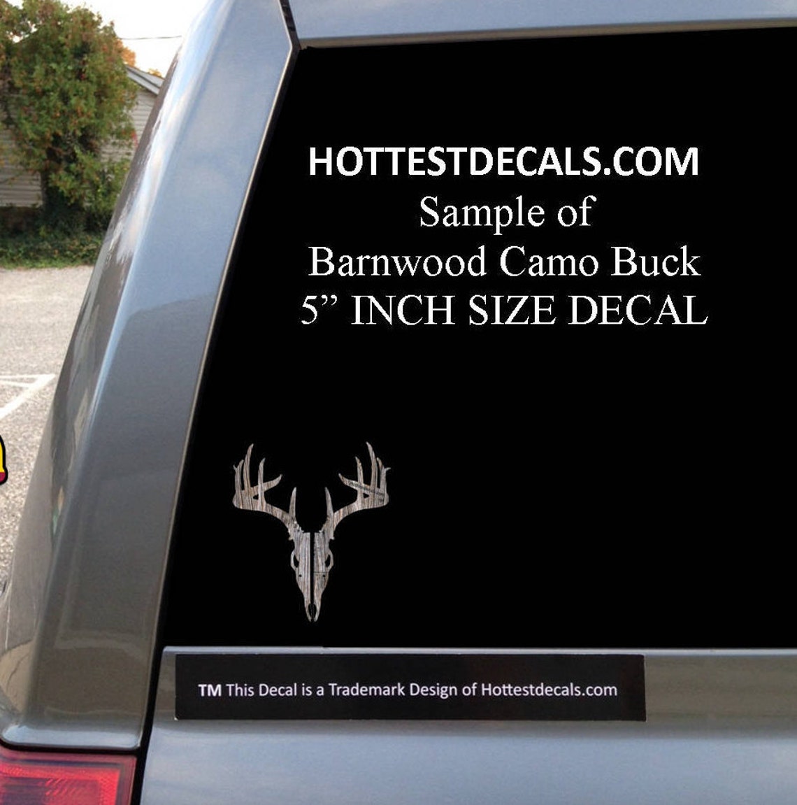 Whitetail Deer Decal Car Sticker 10 Point Barnwood Buck Hunter - Etsy