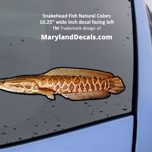 SNAKEHEAD FISH Decal Sticker for Car Window Truck or Boat Boats ...