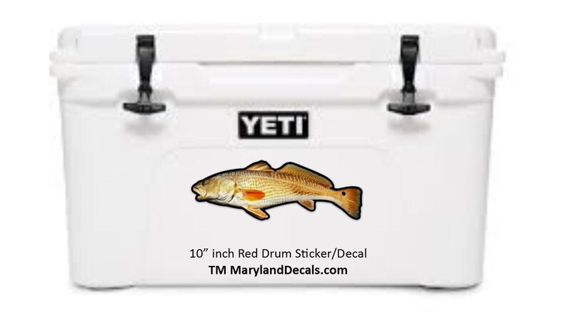 RED DRUM Fish Sticker REDFISH Car Decal Outdoor Use Waterproof Vinyl - Etsy