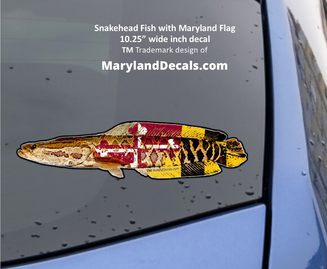 MARYLAND SNAKEHEAD FISH Decal Sticker Maryland Flag Car Truck ...