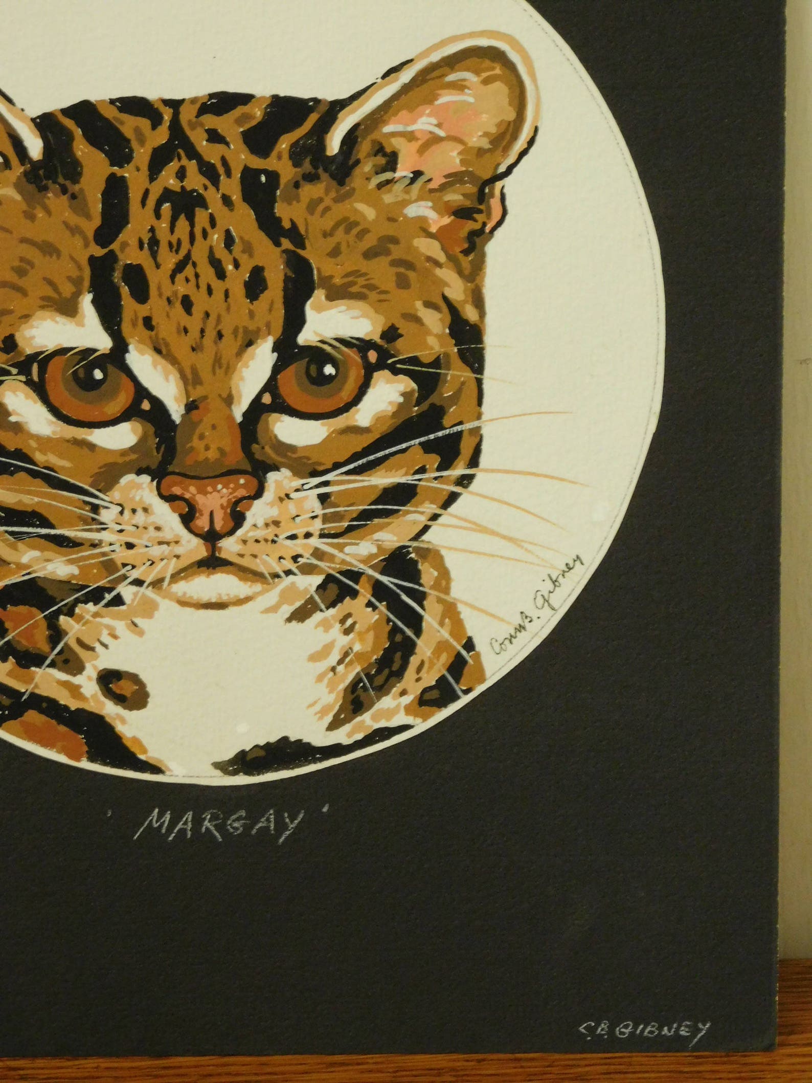 Margay- Original Artwork Signed by Conn Baker Gibney - Etsy