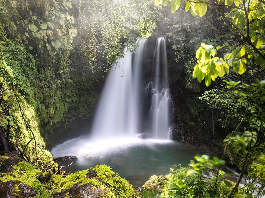 Arenal Rainforest Waterfall Costa Rica | Central America | Tropical ...