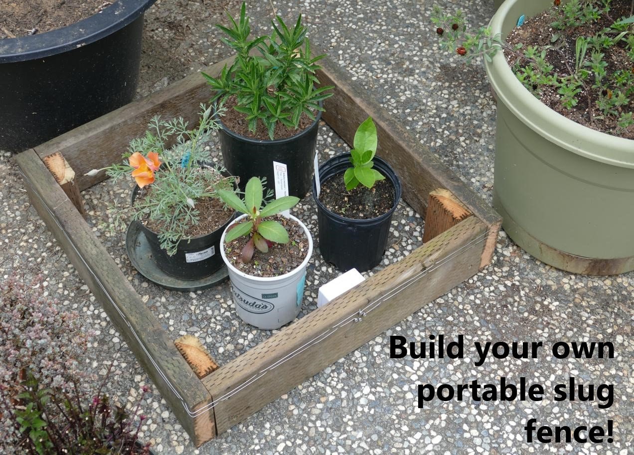 Electric Slug and Snail Fence Kit. Protection for Plants, Easy to Use ...