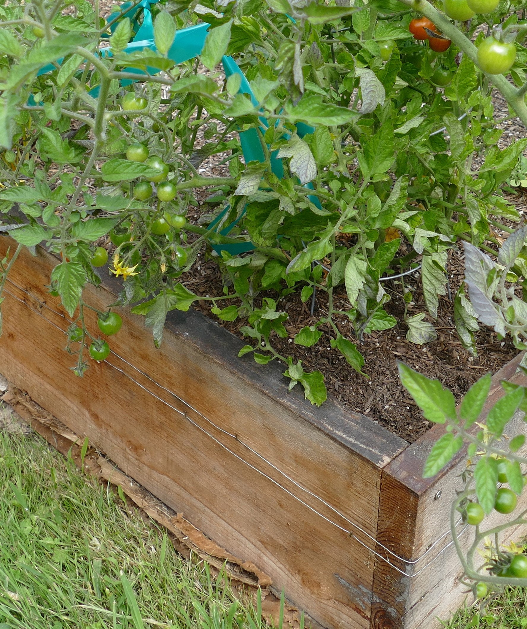 Electric Slug and Snail Fence Kit. Protection for Plants, Easy to Use ...