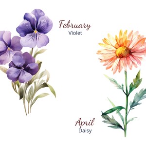 Birth Month Flower Watercolor Clipart, 24 Birth Flower PNG, Birth Month ...