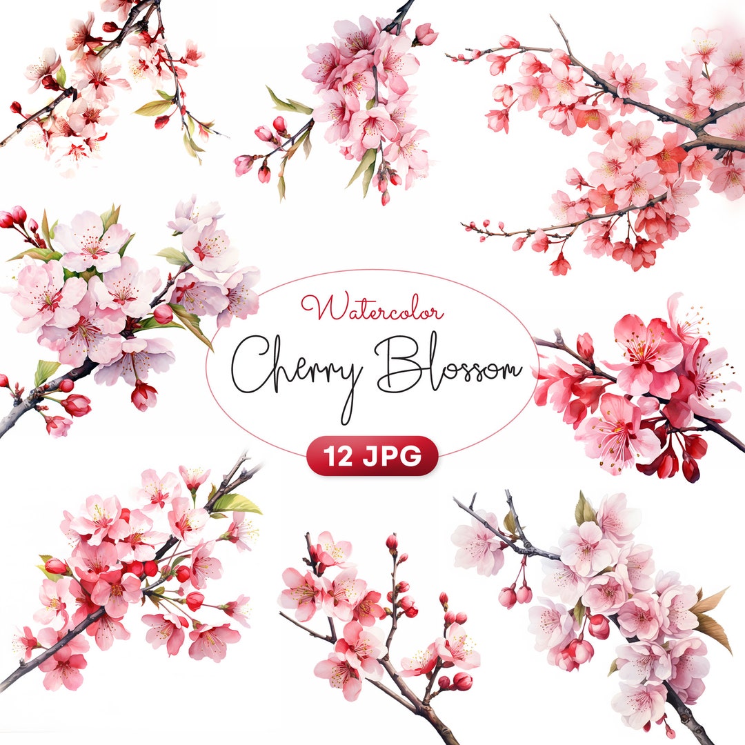 Watercolor Cherry Blossom Clipart, 12 High Quality JPG, Sakura Flower ...