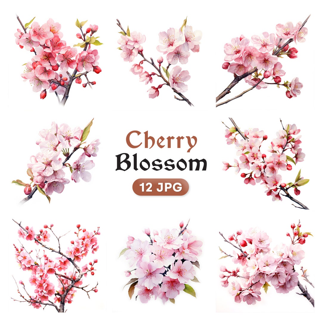 Watercolor Cherry Blossom Clipart, Sakura Flower JPG, Wall Art ...