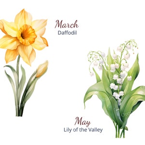 Birth Month Flower Watercolor Clipart, 24 Birth Flower PNG, Birth Month ...