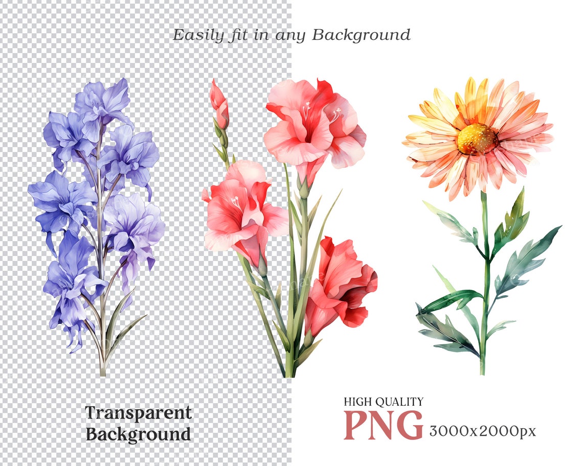 Birth Month Flower Watercolor Clipart, 24 Birth Flower PNG, Birth Month ...