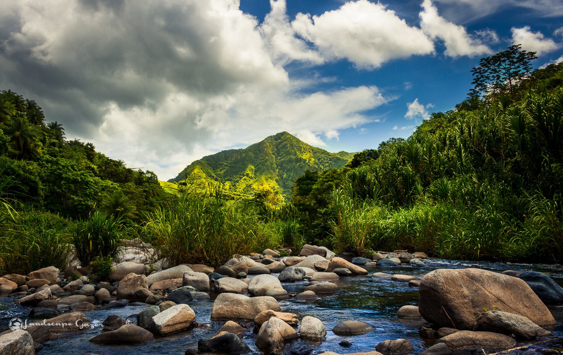 Caonillas River Photo Print Utuado Puerto Rico Art Prints | Etsy