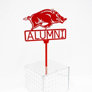 Razorback "alumni" Yard Sign - Etsy