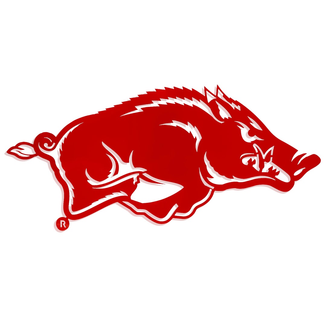 Single Razorback Wall Art - Etsy