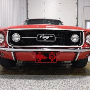 Hog / Red Wolf License Plate - Etsy