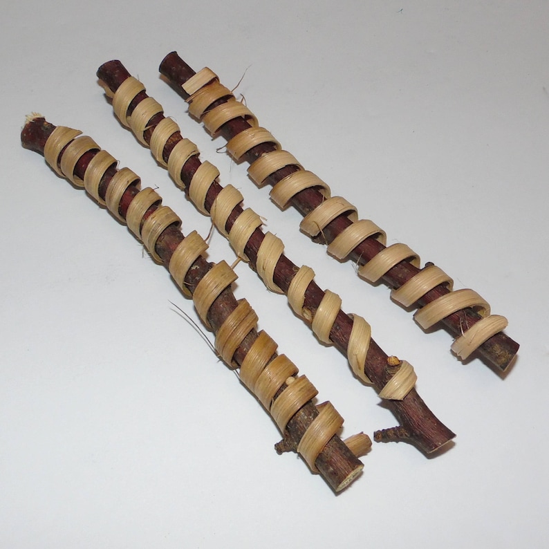 Lot of 3 Natural Organic Apple Chew Sticks Wrapped With Palm Twists - Etsy