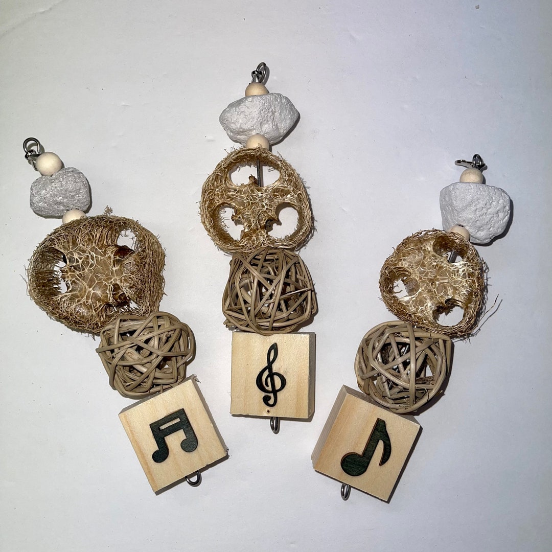 7 Music Note or Treble Clef Hanging Chew Toy Chinchilla - Etsy